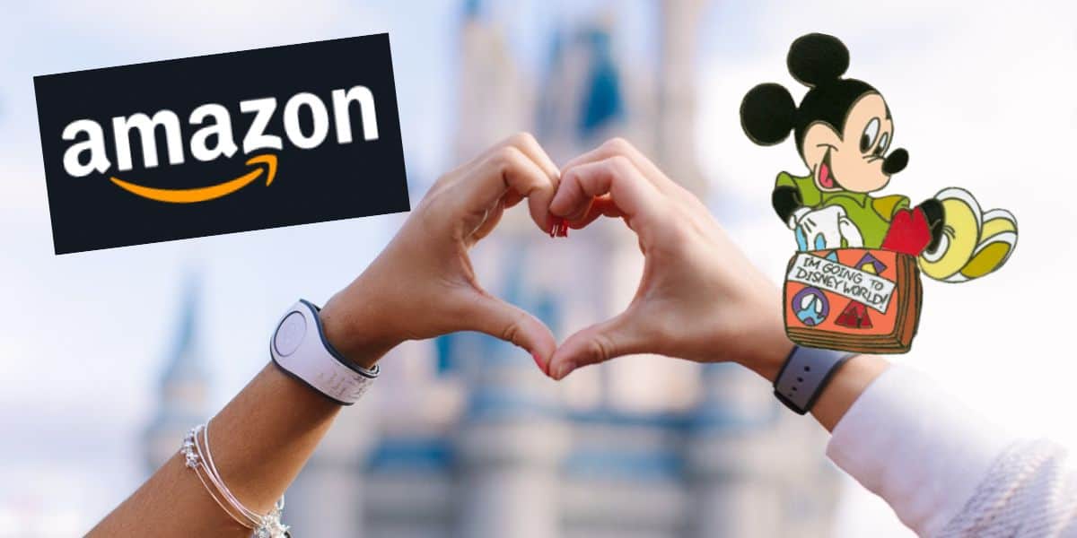 You Need These 9 Amazon Items For Your Disney Trip | How To Disney