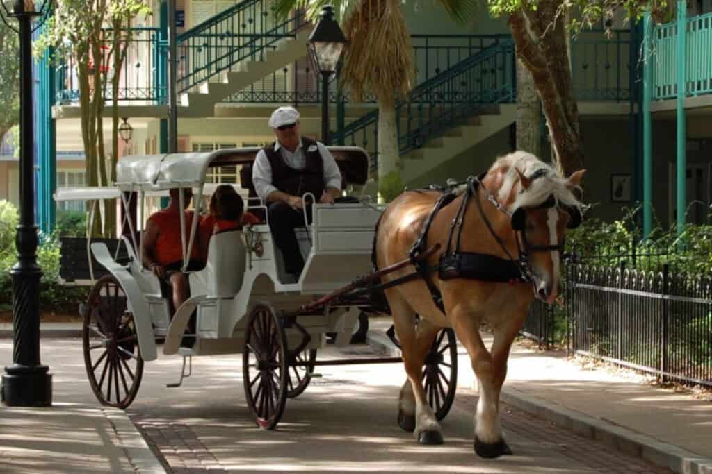 Love Horses? Don't Miss These Experiences in Walt Disney World | How To ...