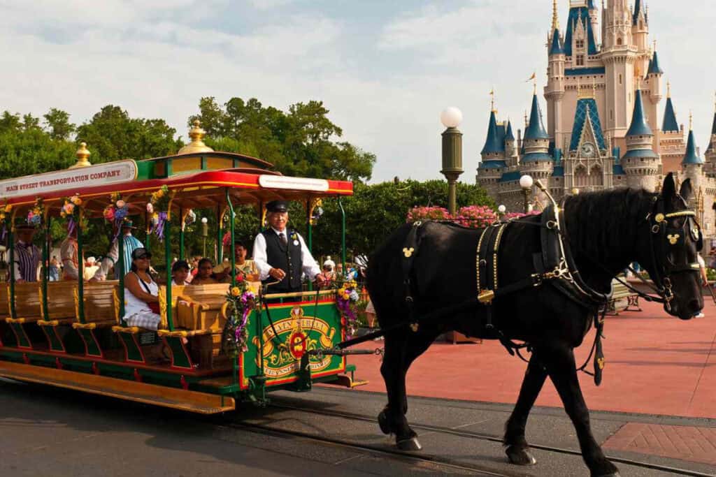 Love Horses? Don't Miss These Experiences in Walt Disney World | How To ...